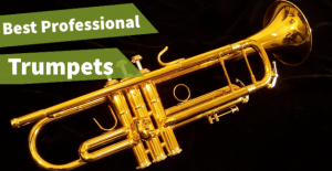 10 Best Professional Trumpets [Buyer Guide + Reviews 2021]