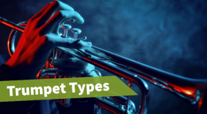 The Different Types of Trumpets - CGuide